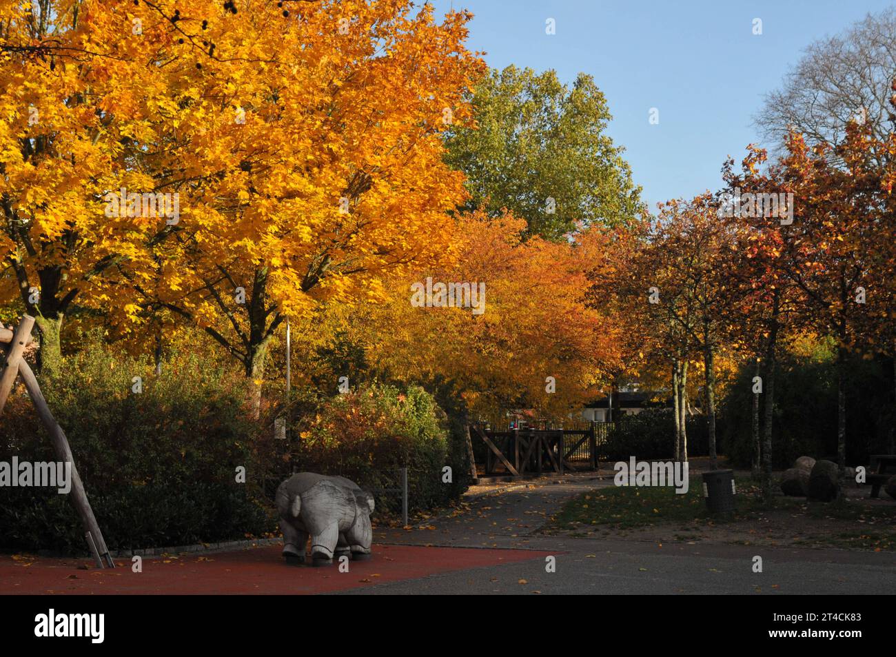 Copenhagen, Denmark /30 October. 2023/.Autumn colour leave and tree in ...