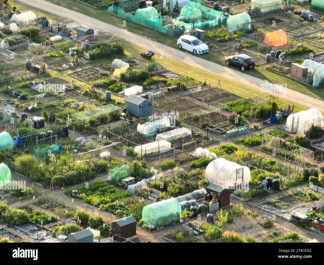 An aerial view of allotments set in beautiful rural countryside in the ...