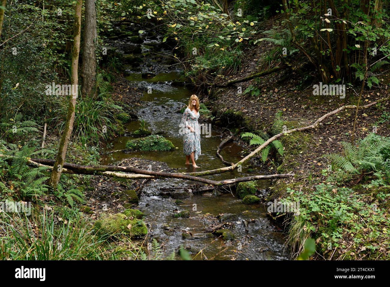 Woman walking along the cool waters of a stream in Loamhole Dingle ...