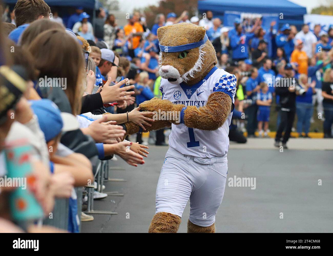 LEXINGTON, KY - OCTOBER 28: Kentucky Wildcats mascot Wildcat before a ...