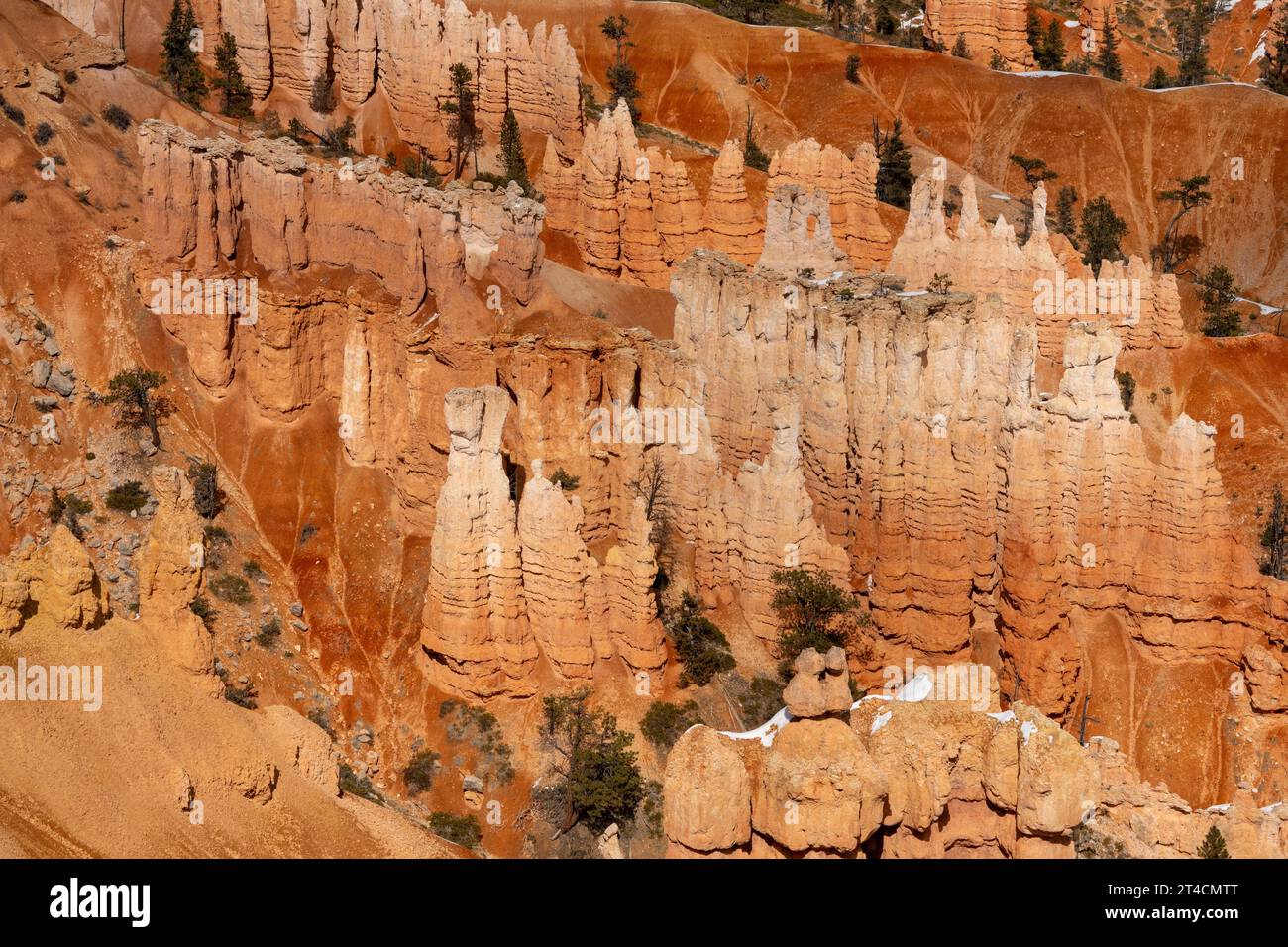 Eroded hoodoos in the Bryce Amphitheater below Sunset Point, Bryce ...