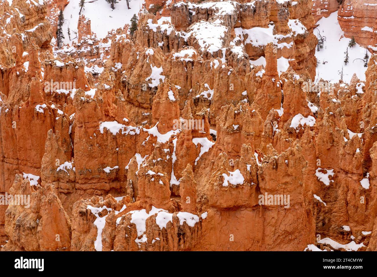 Snow on eroded hoodoos in the Bryce Amphitheater below Sunset Point ...