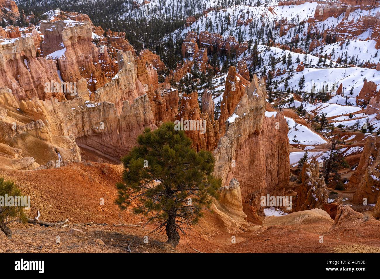 Bryce Canyon amphitheater from the rim trail from Sunrise Point to ...