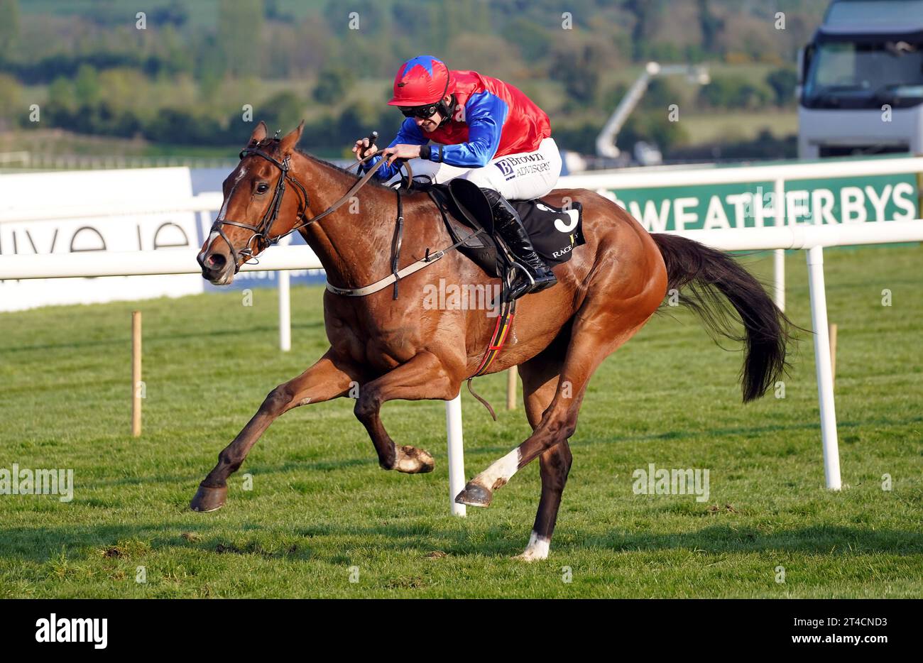 Facile vega horse hi-res stock photography and images - Alamy