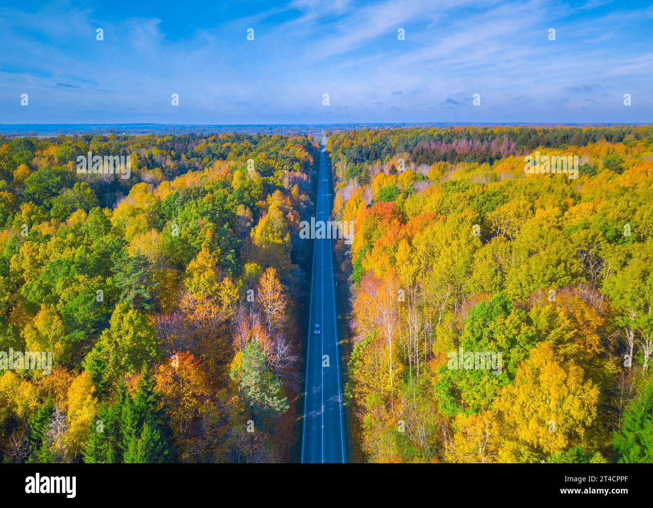 Autumn colors in Lithuania. A path through an Autumn forest Stock Photo ...