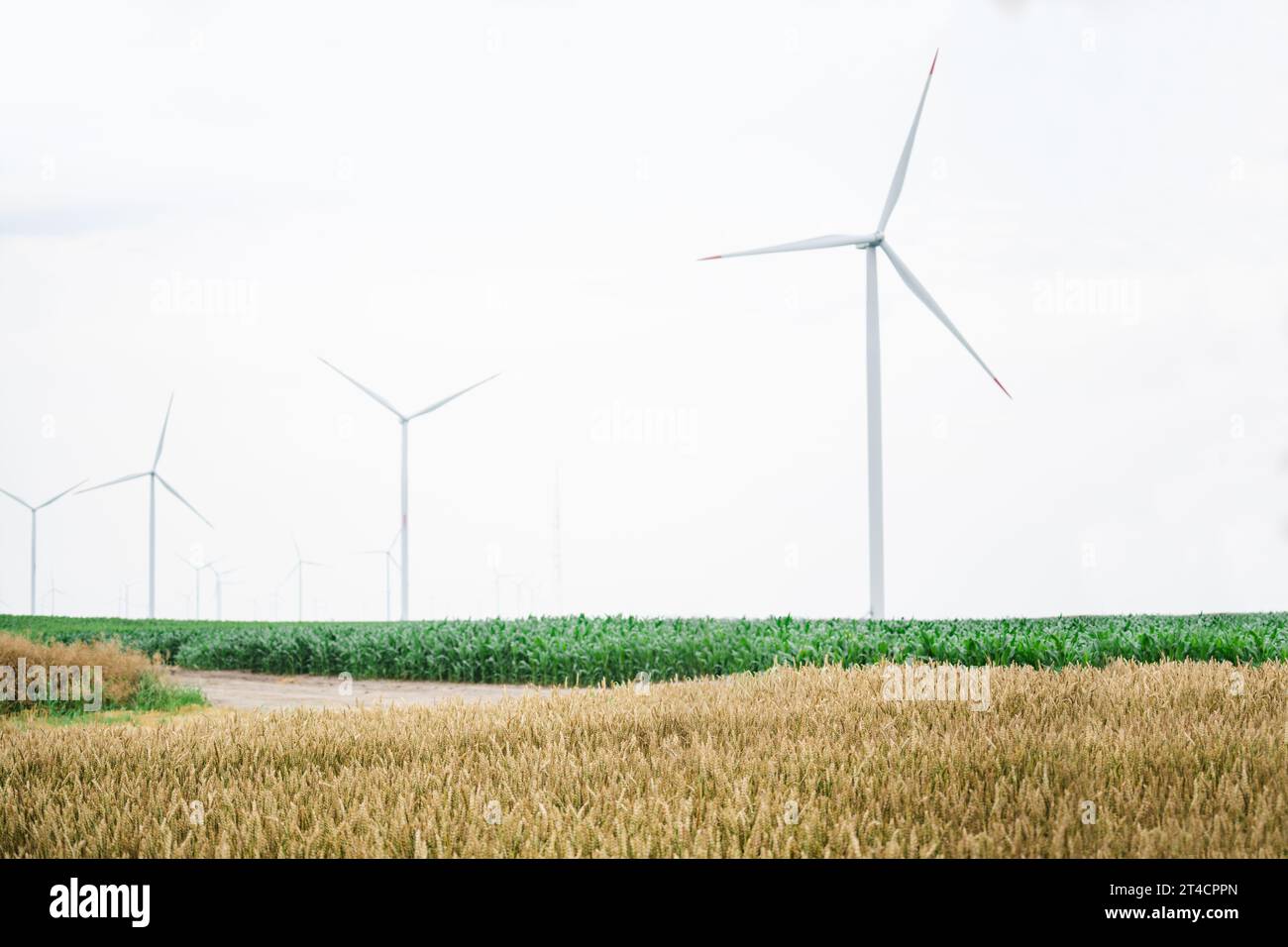 Agricultural field with wind turbines Stock Photo - Alamy
