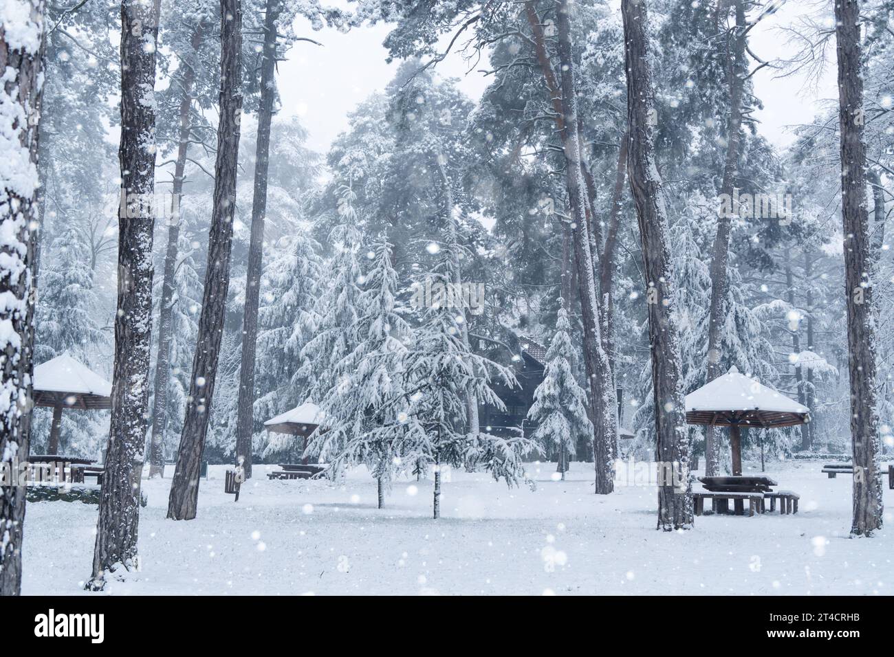 Horizontal shot winter park hi-res stock photography and images - Alamy
