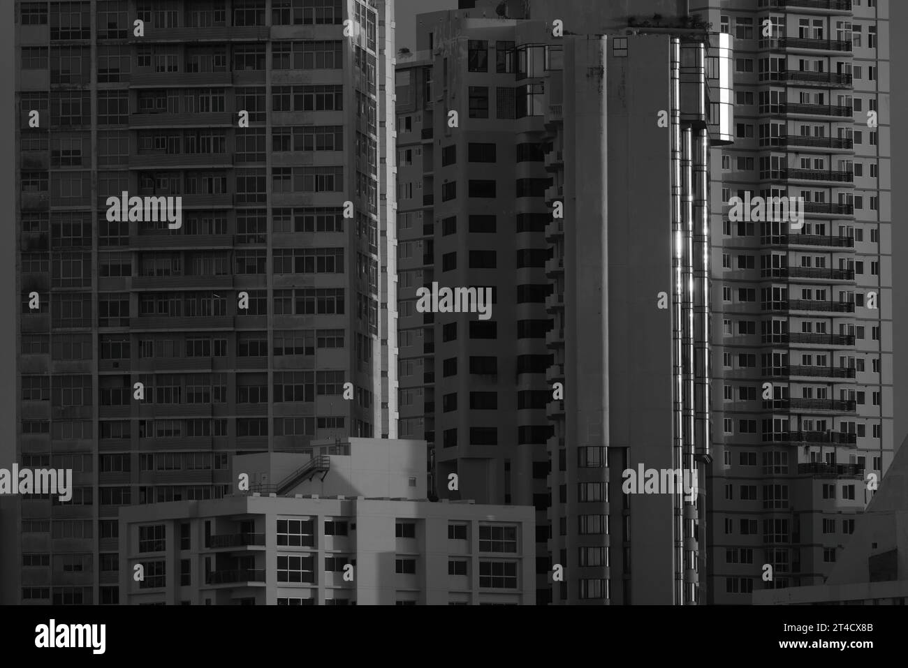 A black and white photograph showcasing a dense arrangement of high ...