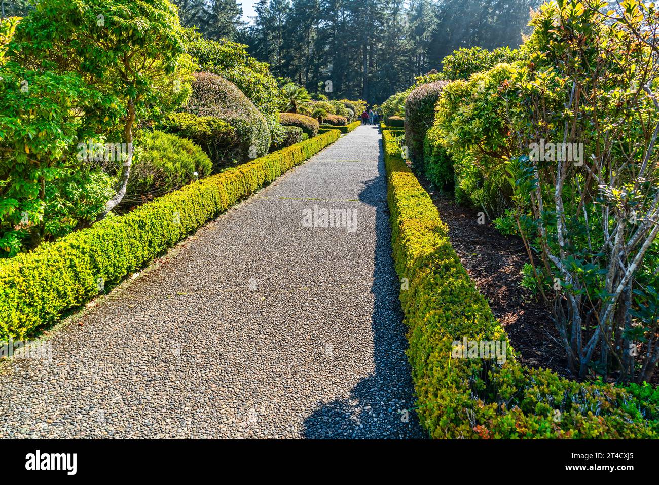 A view of a garden path at Shore Acres State Park in Oregon State Stock ...