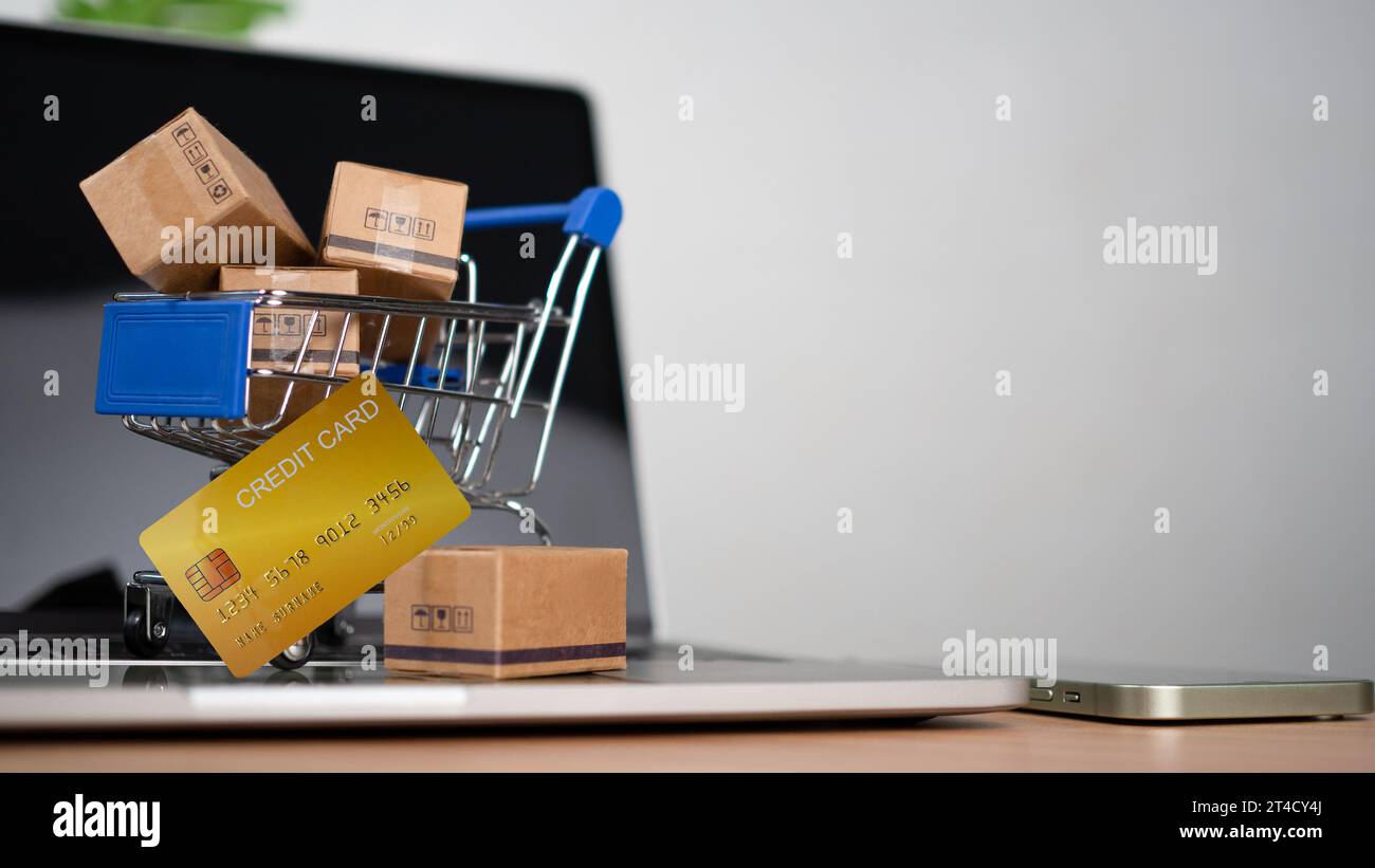 Shopping carts and credit card Place on laptop computer repressents ...