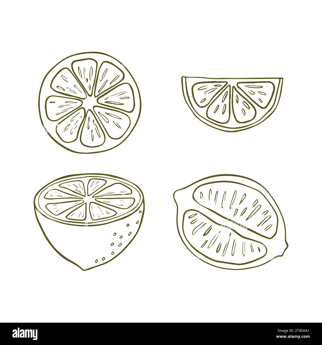 Vector hand-drawn set of lemons. Whole lemon, cut into pieces, half ...