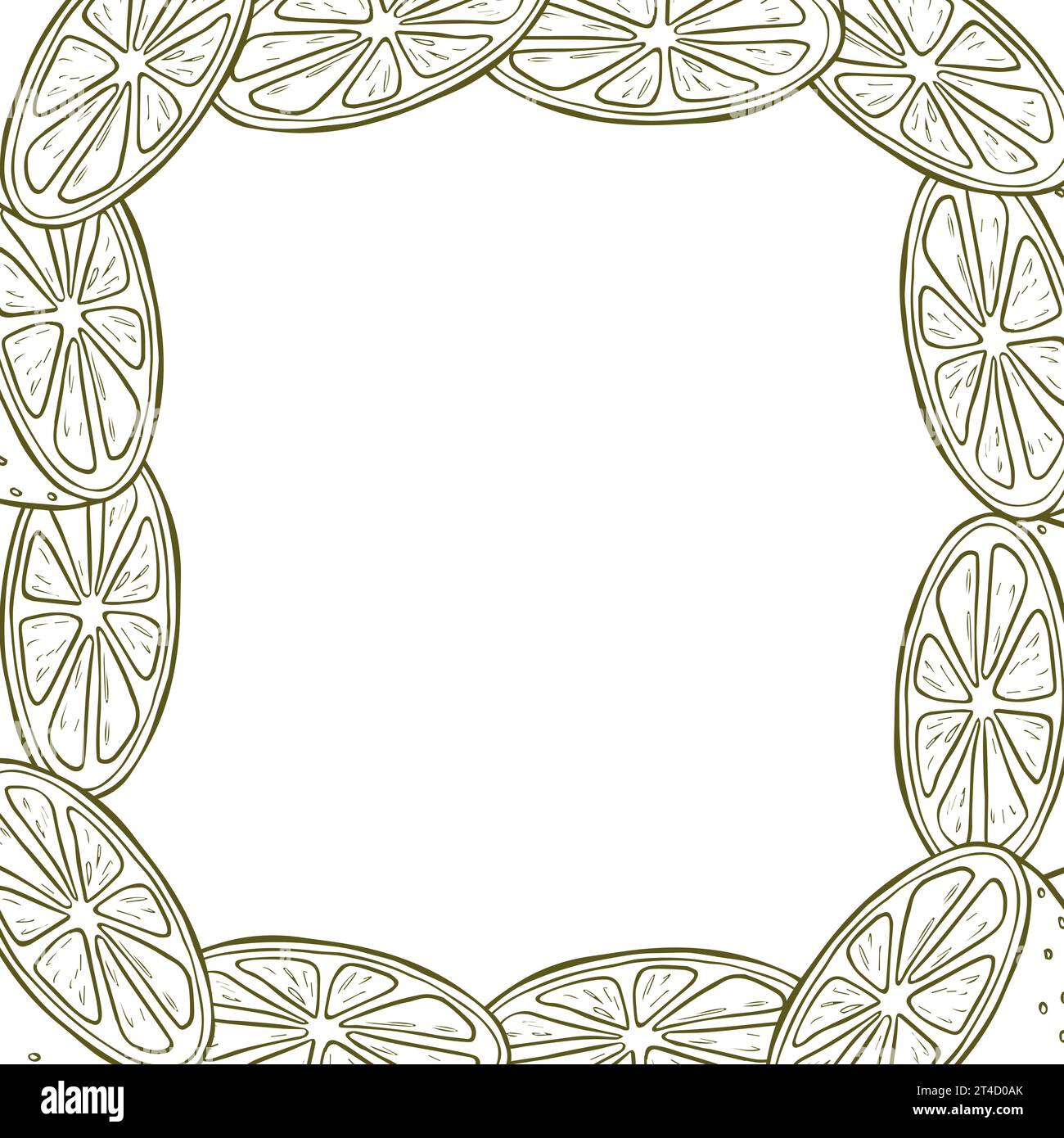 A border of lemon slices. A composition of citrus fruits in a graphic ...