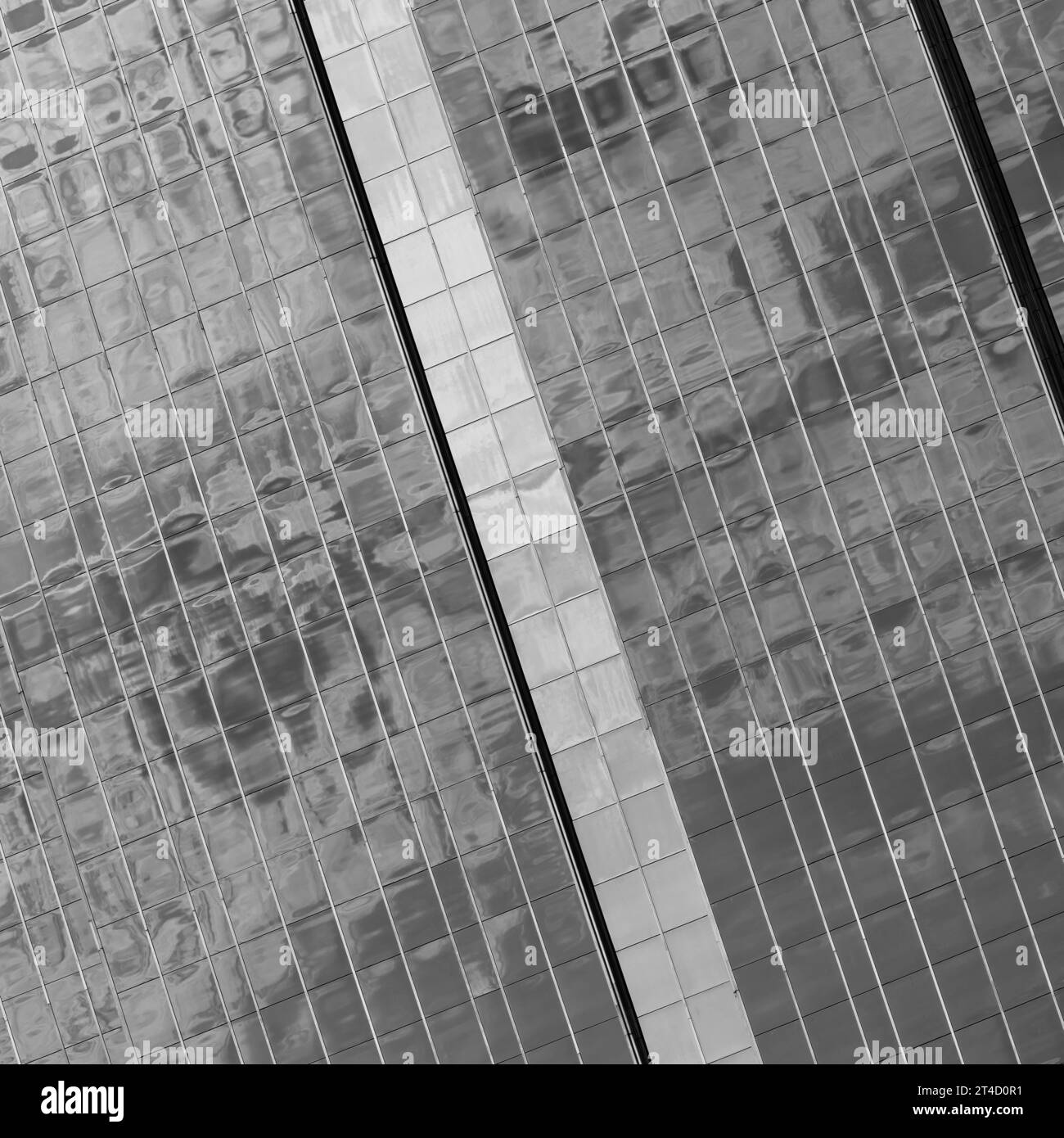 A monochromatic exploration of modern architecture showcasing the play ...