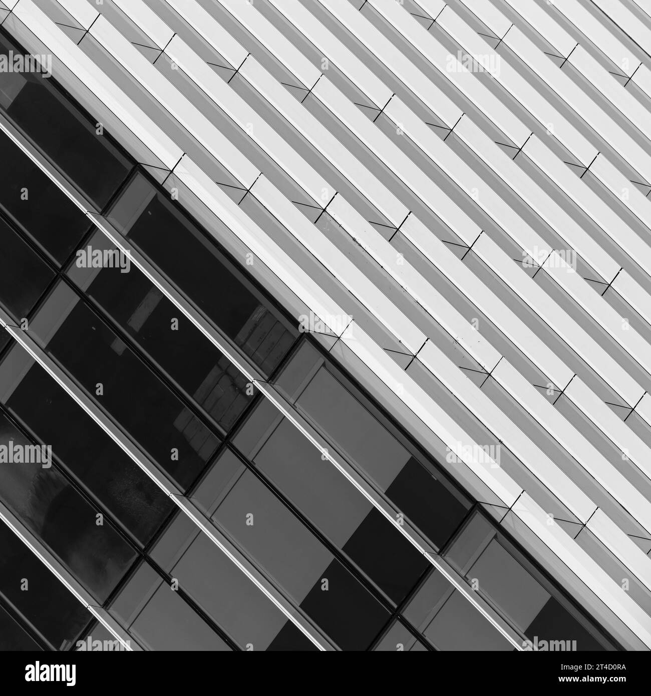 An intriguing monochromatic photograph that captures the stark contrast ...