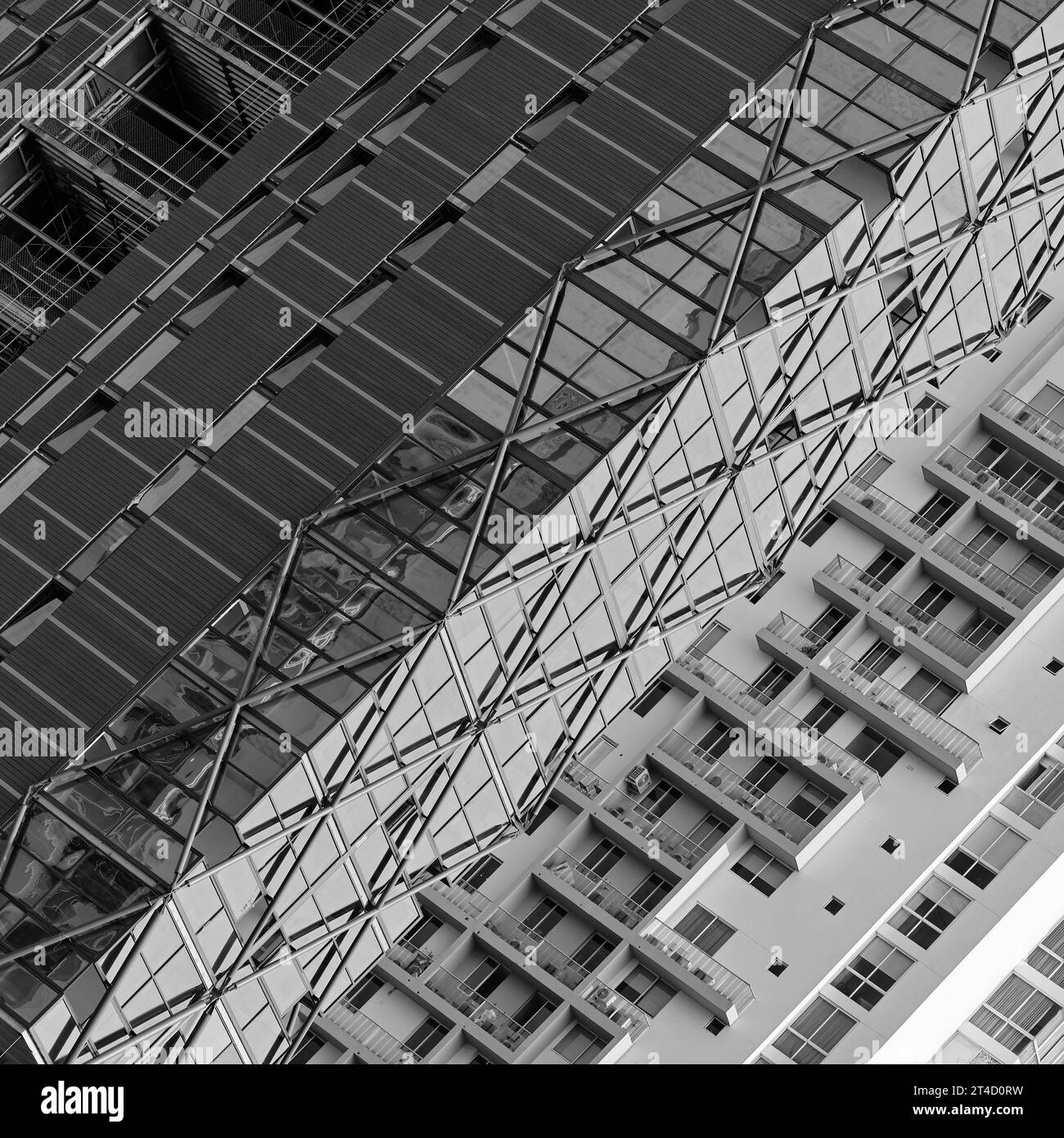 This grayscale image showcases the juxtaposition of architectural ... This grayscale image showcases the juxtaposition of architectural ...