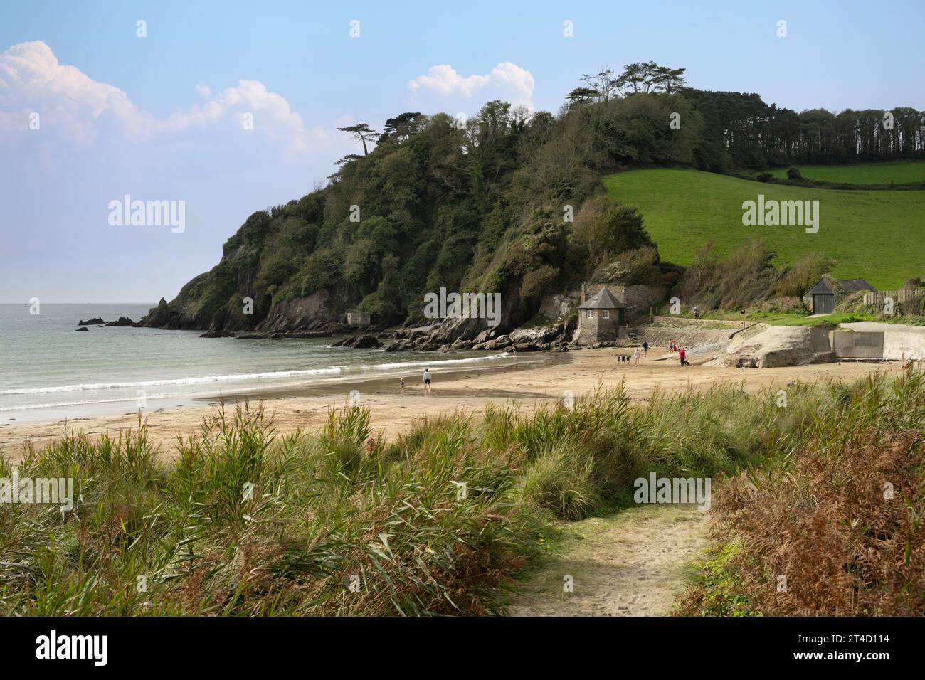 Beach at Mothecombe, Devon, England Stock Photo - Alamy