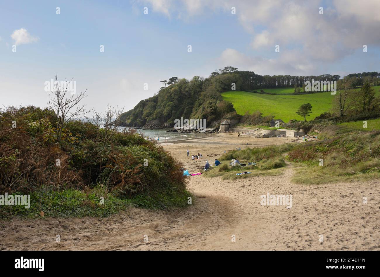 Beach at Mothecombe, Devon, England Stock Photo - Alamy