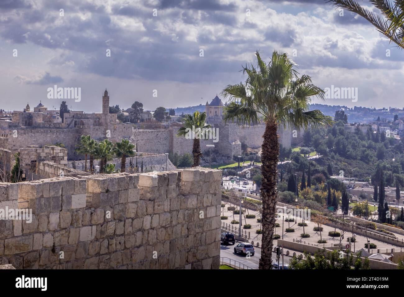 The road, palm trees, and garden around the fortress walls of the Old ...
