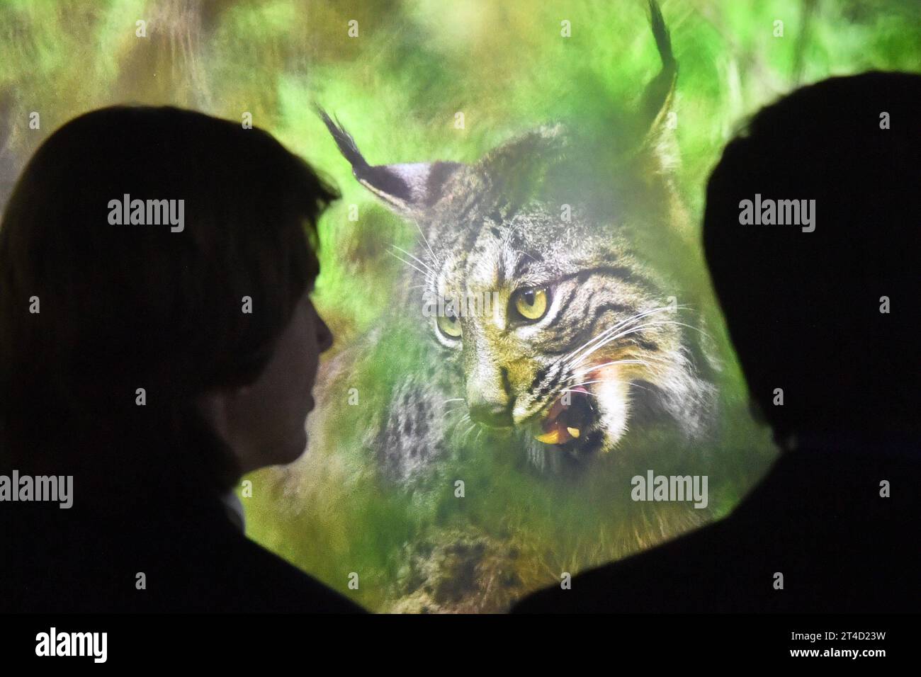 Moscow. A visitor at the opening of the 17th Golden Turtle wildlife ...