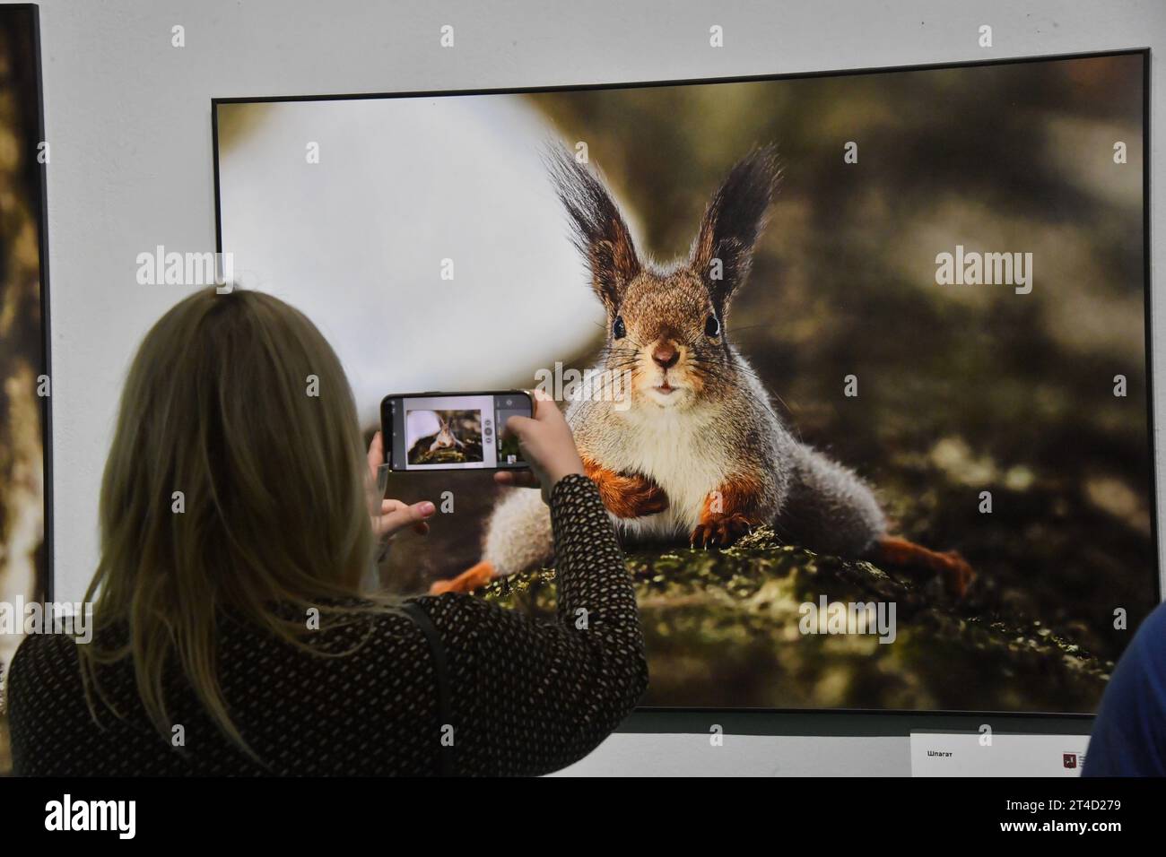Moscow. A visitor at the opening of the 17th Golden Turtle wildlife ...