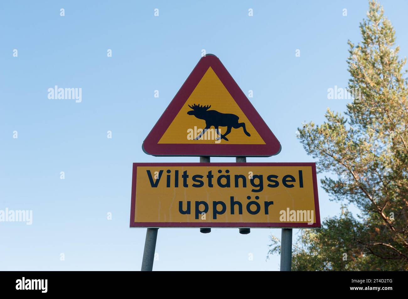 Warning sign sweden hi-res stock photography and images - Alamy