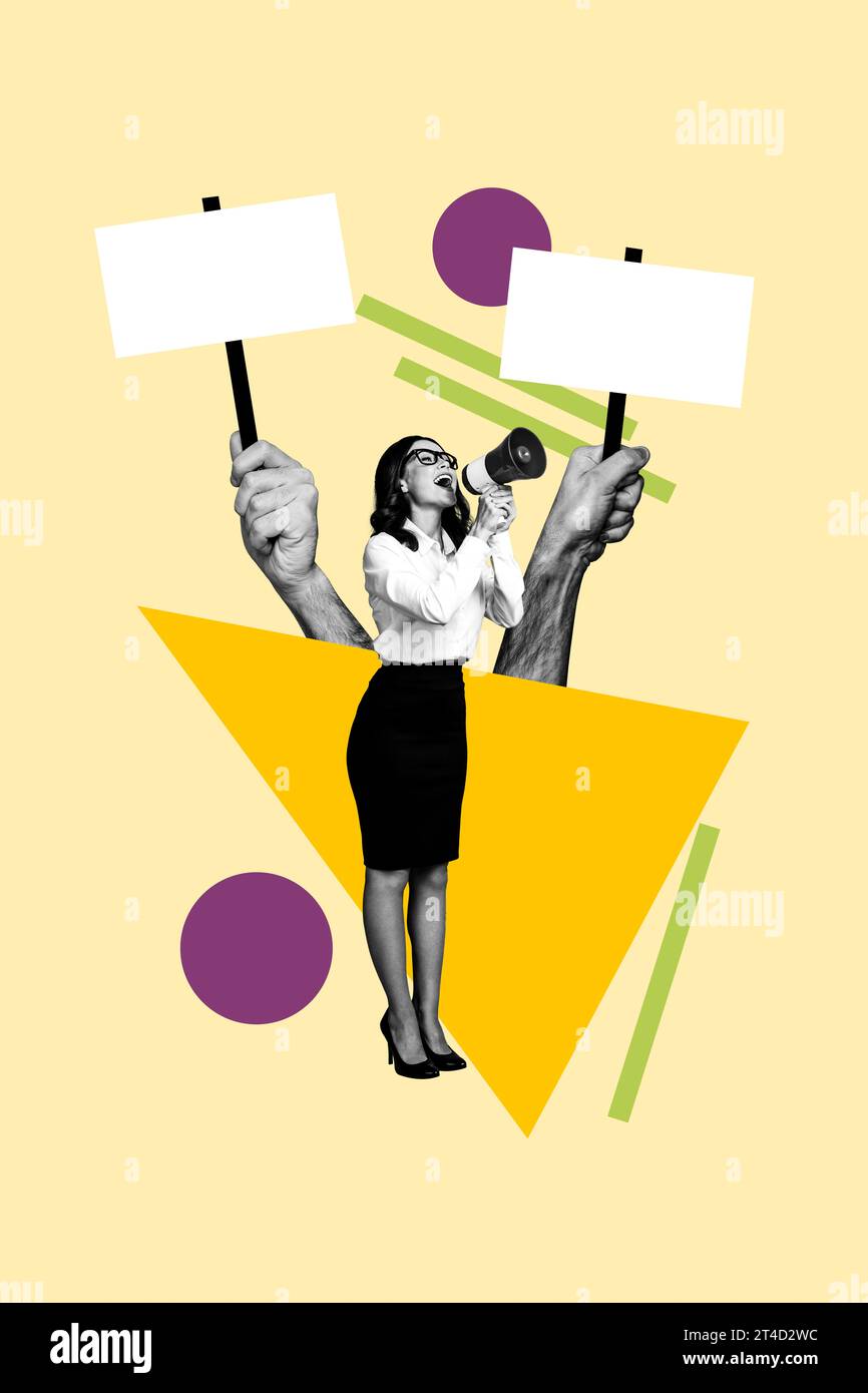 Collage picture image of charming lady professional boss hold bullhorn ...