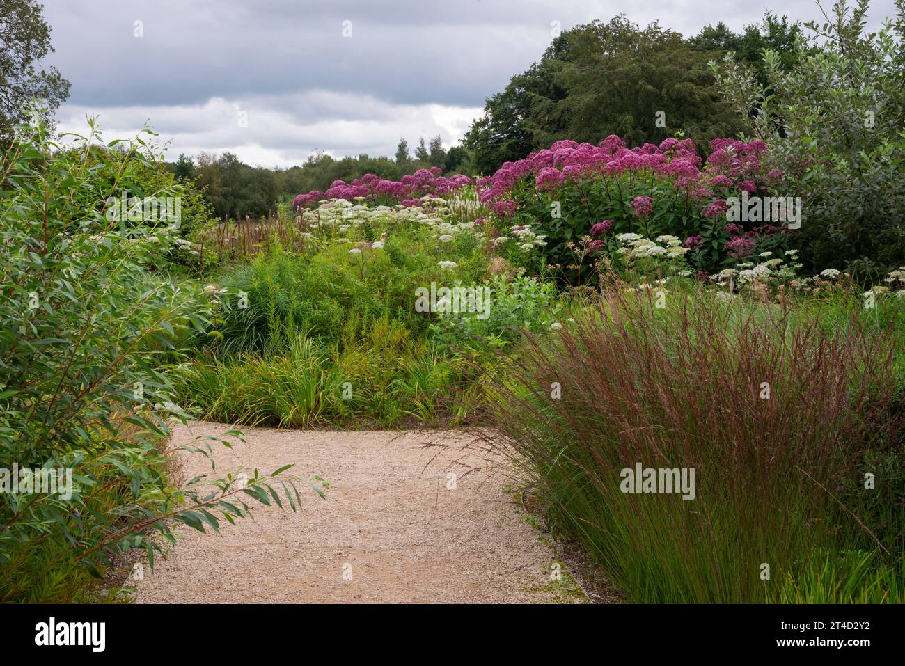 Welcome Garden in late summer at RHS Bridgewater garden at Worsley ...