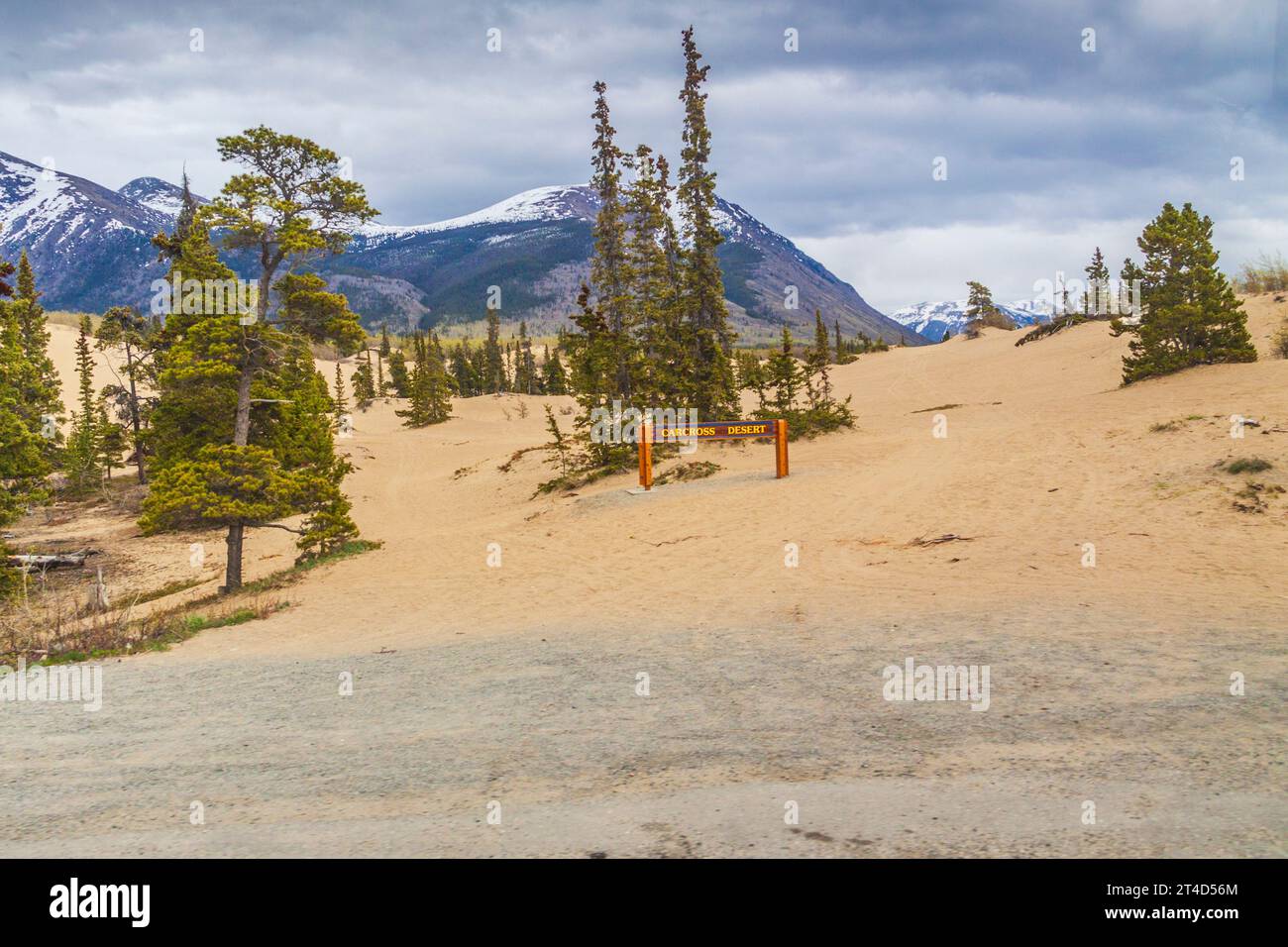 Carcross Desert is commonly referred to as a desert, but is actually a ...