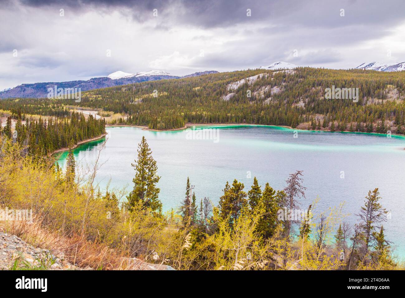 Emerald Lake near Carcross in Yukon Territory, Canada. The green color ...