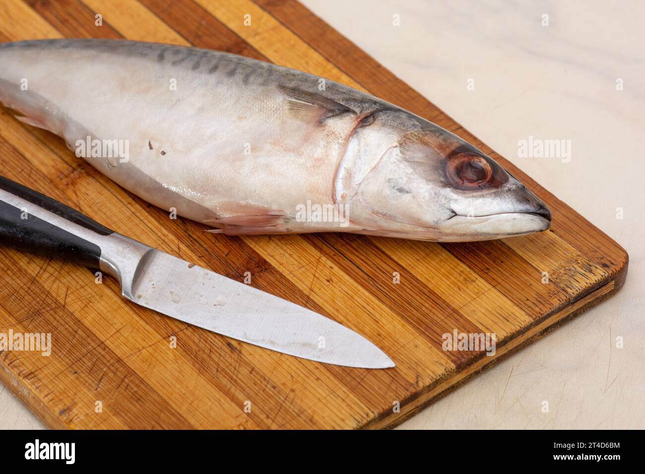 Raw mackerel fish cutting hi-res stock photography and images - Alamy