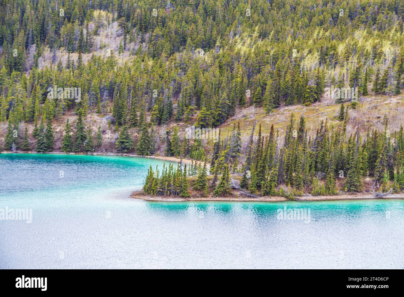 Emerald Lake near Carcross in Yukon Territory, Canada. The green color ...