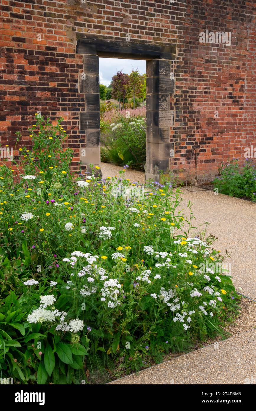 Wildflowers growing at the entrance to the walled garden at RHS ...