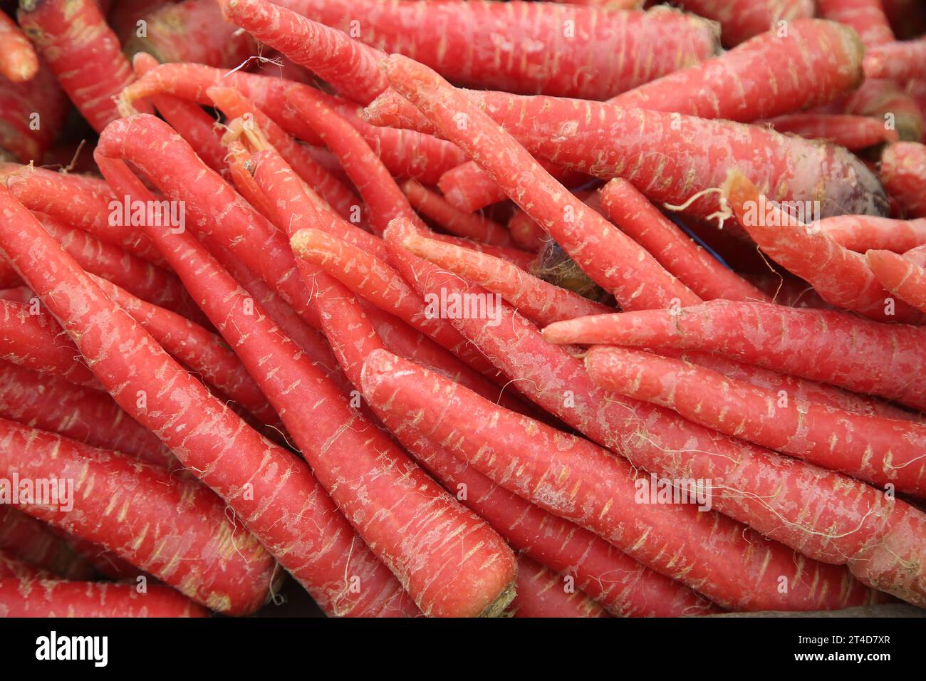 Long red carrots hi-res stock photography and images - Alamy