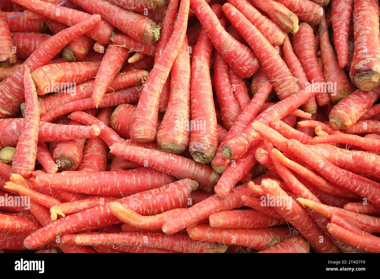 Long red carrots hi-res stock photography and images - Alamy
