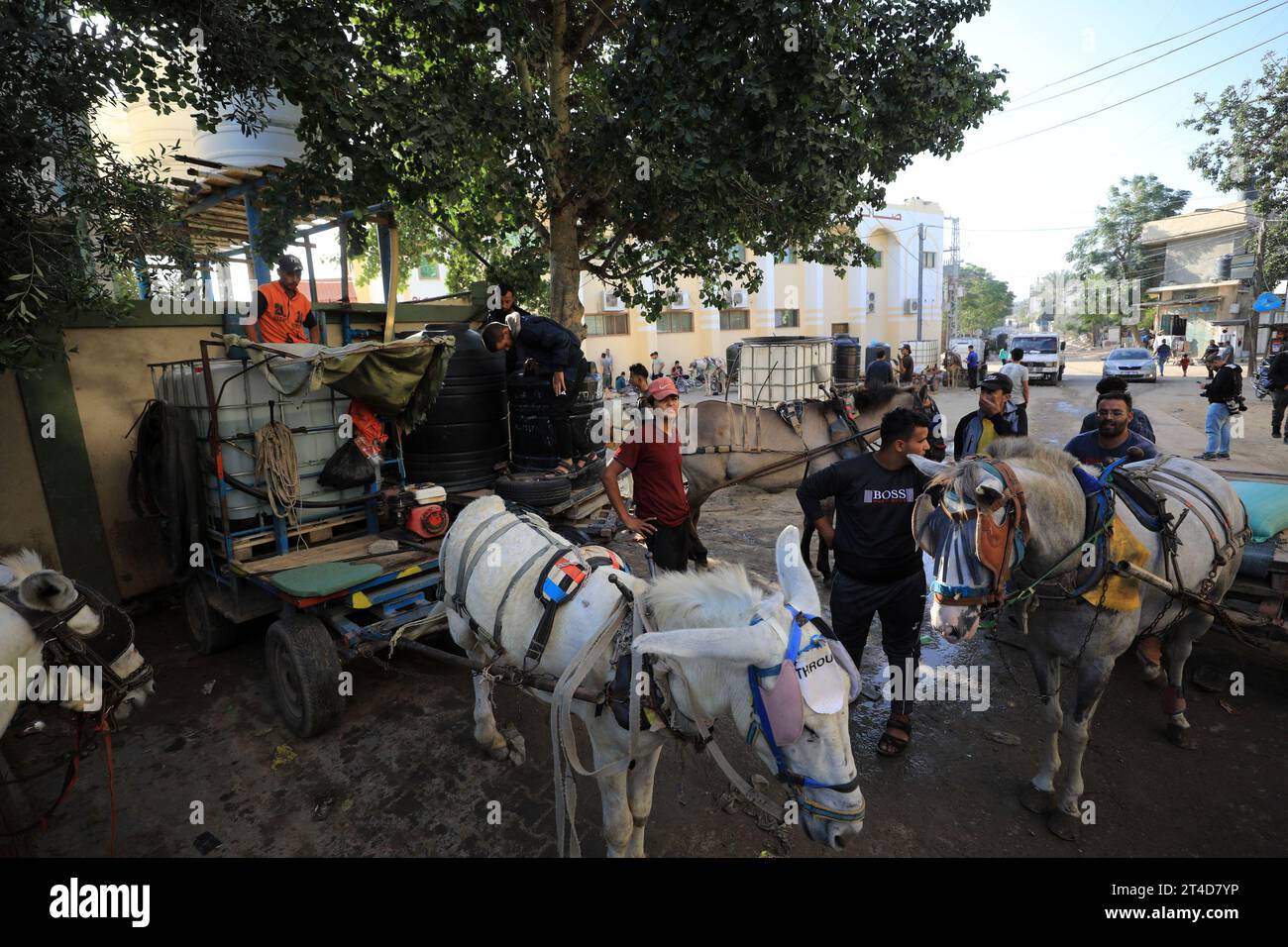 Gaza. 30th Oct, 2023. People use donkey-drawn carts to transport water ...