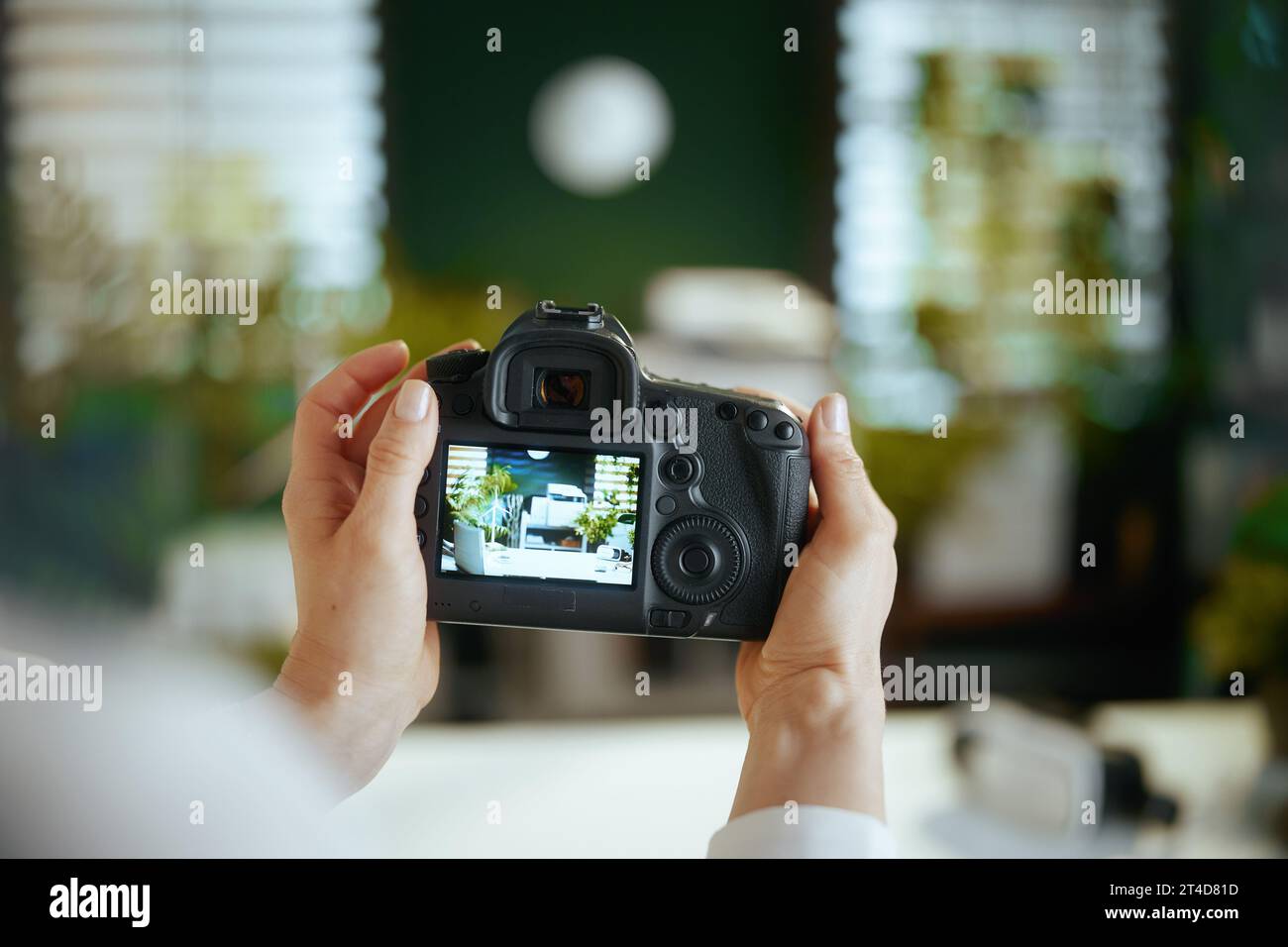 Sustainable real estate business. Closeup on female real estate agent ...