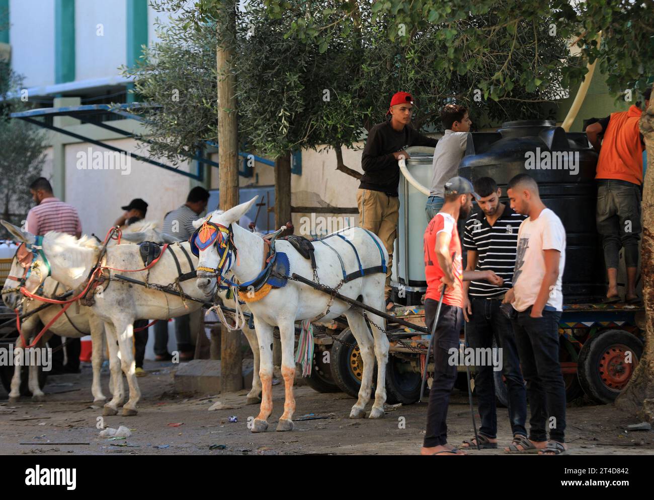Gaza. 30th Oct, 2023. People use donkey-drawn carts to transport water ...