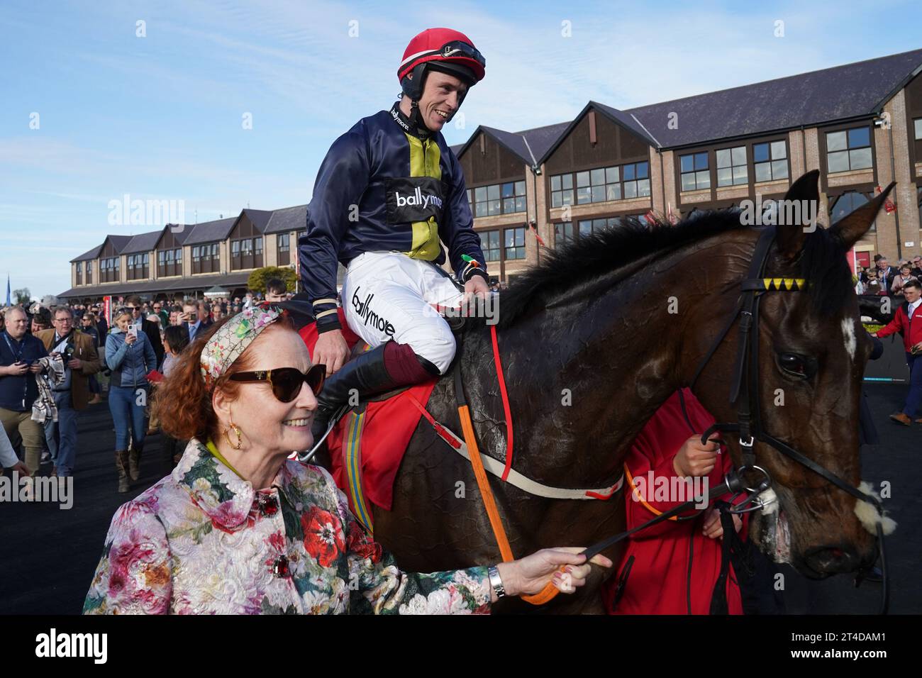 Fastorslow horse hi-res stock photography and images - Alamy
