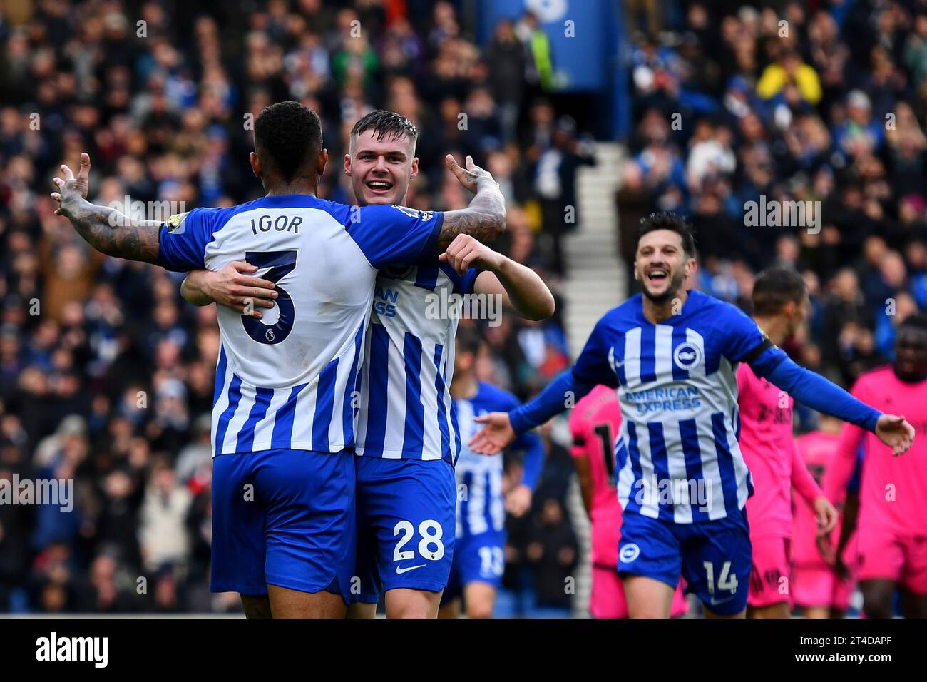 Evan ferguson brighton goal hi-res stock photography and images - Alamy