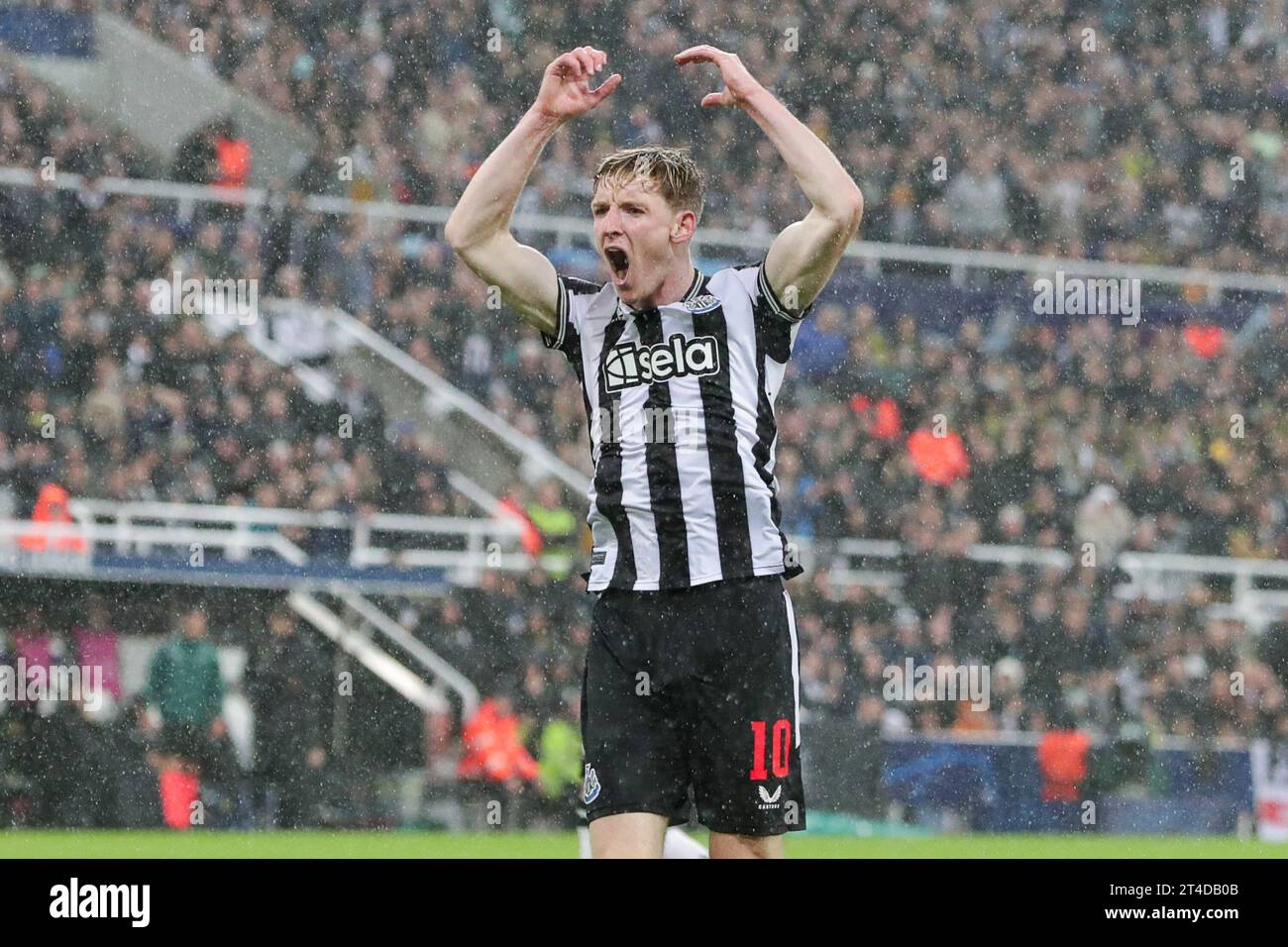 Anthony Gordon of Newcastle- Newcastle United v Borussia Dortmund, UEFA ...