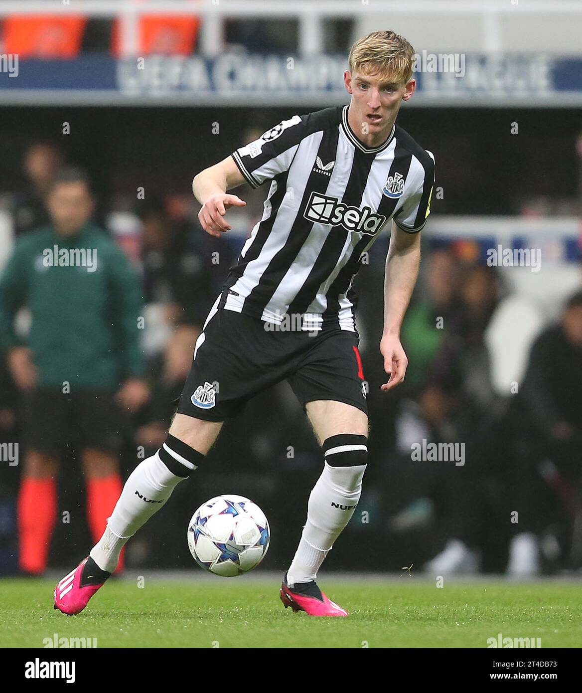 Anthony Gordon of Newcastle United. - Newcastle United v Borussia ...