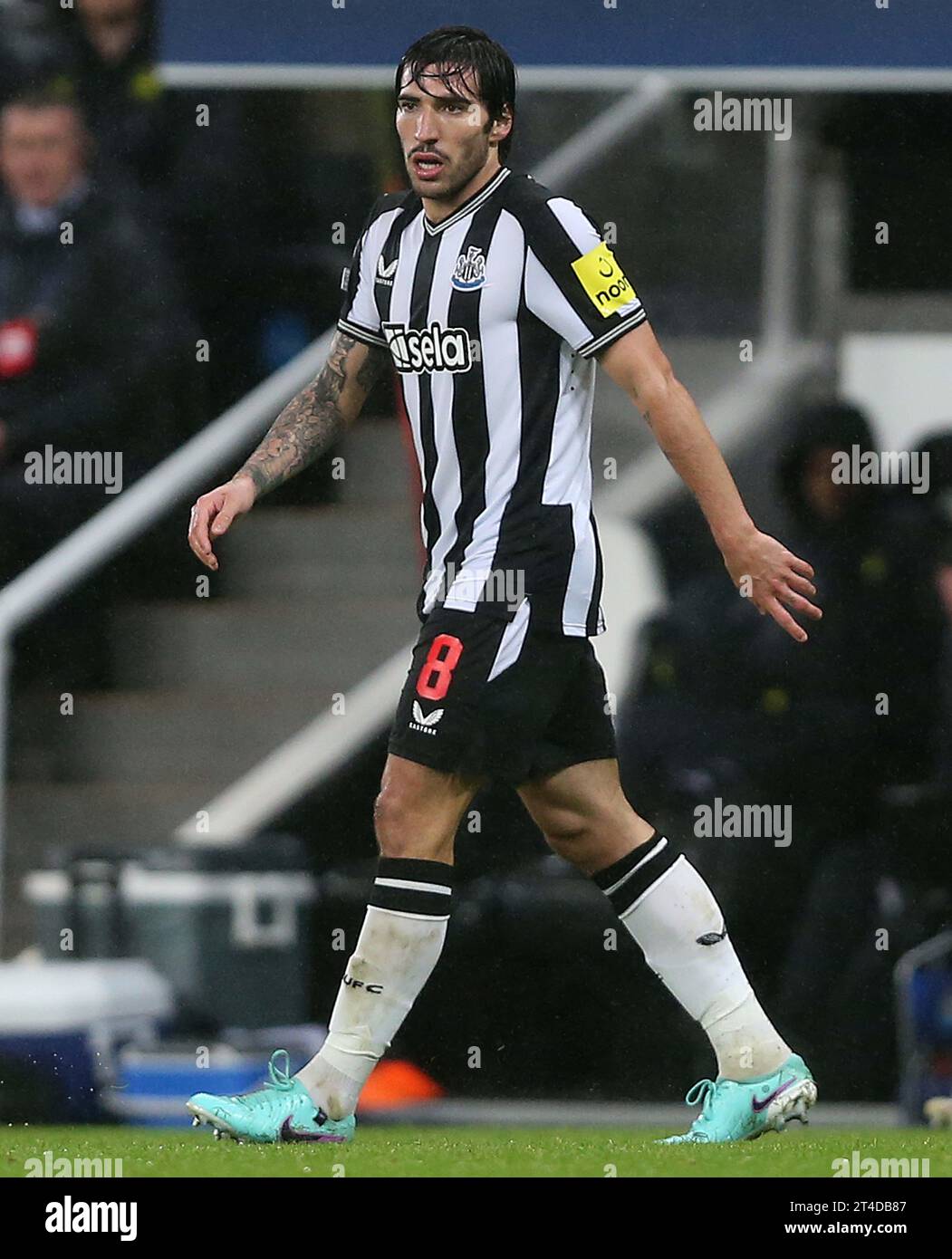 Sandro Tonali of Newcastle United. - Newcastle United v Borussia ...