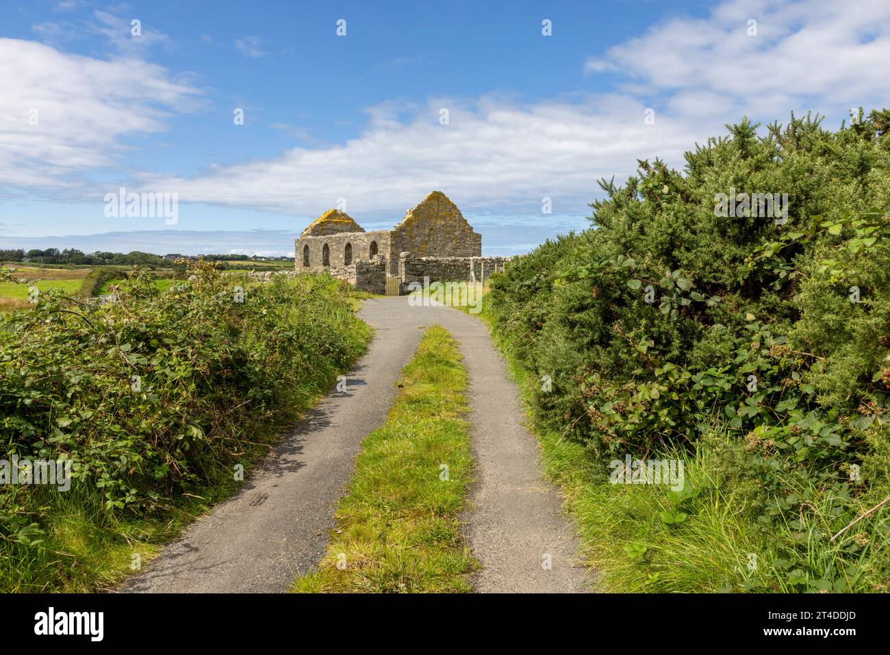 The ruined medieval Ray Church in Donegal, Ireland, renowned for its ...