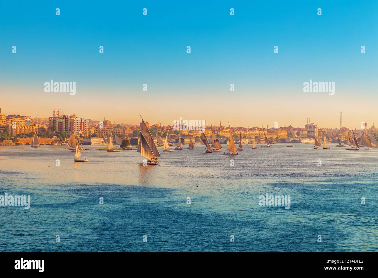 Traditional felucca boats on the Nile River in Aswan. Magnificent view ...