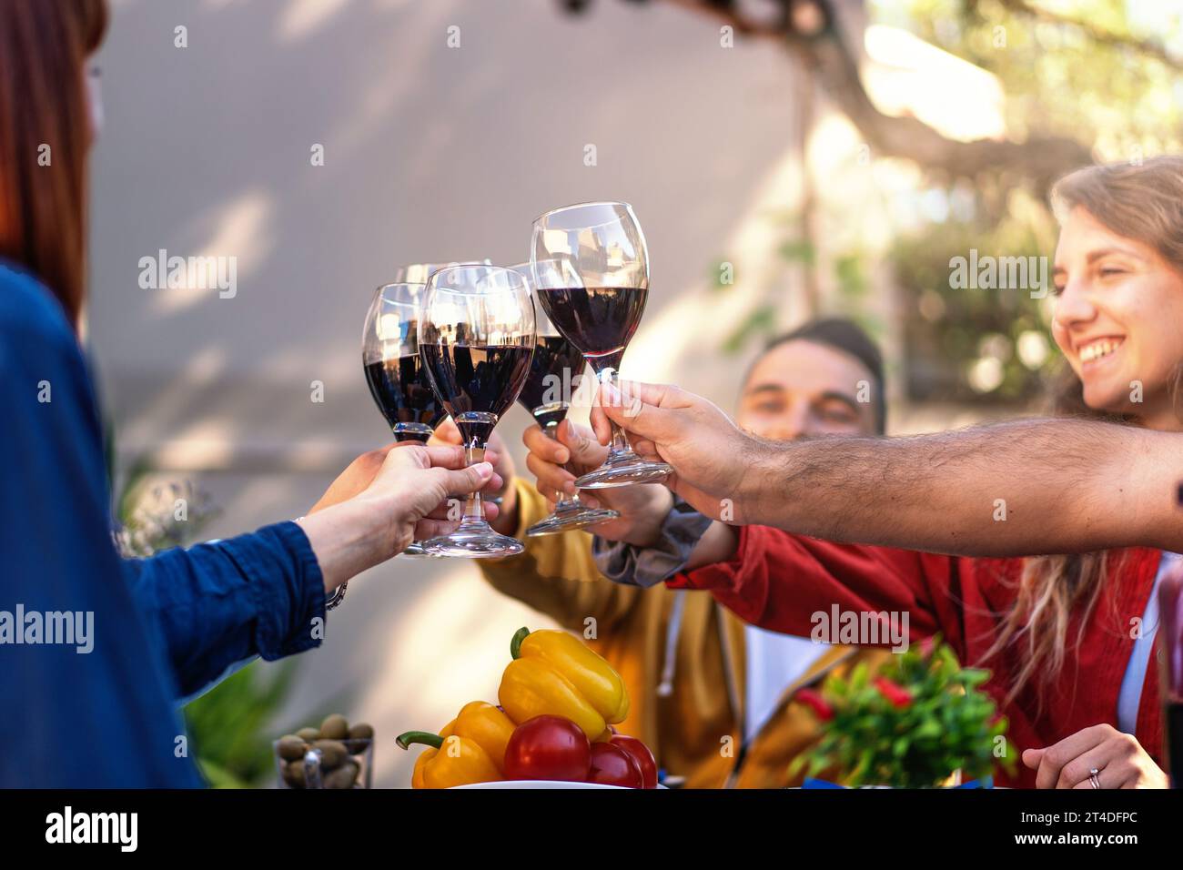 A group of friends raise their wine glasses in a cheerful toast during ...