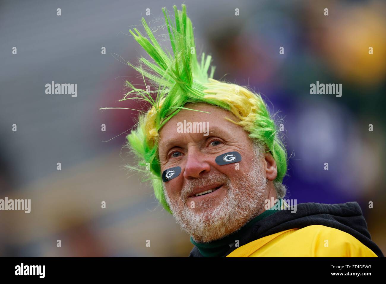 Fans dress up before an NFL football game between the Minnesota Vikings ...