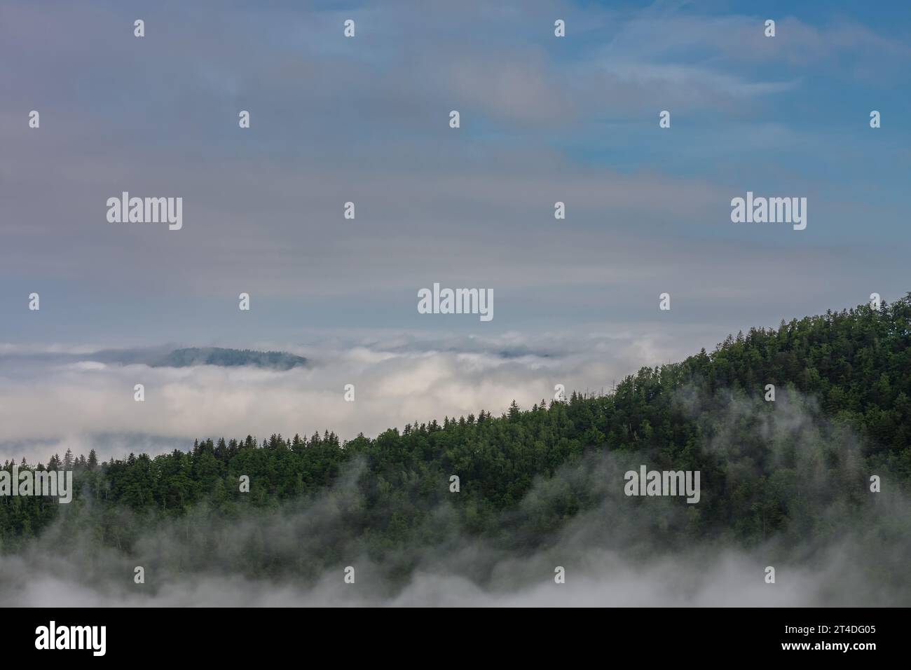 View from path to chalet under Suchy, national park Mala Fatra, Slovakia, on a spring foggy ...