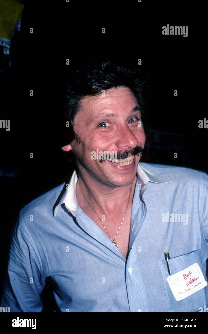 ROBERT WALDEN ; b. 1943, American actor ; portrait ; June 1981 ; Credit : Lynn McAfee ...