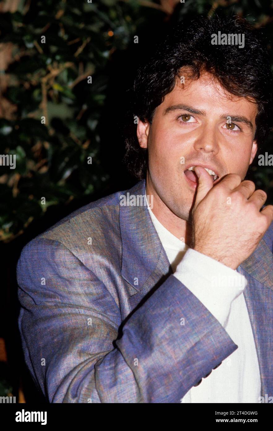 DONNIE OSMOND ; American singer, musician and actor ; portrait, press ...