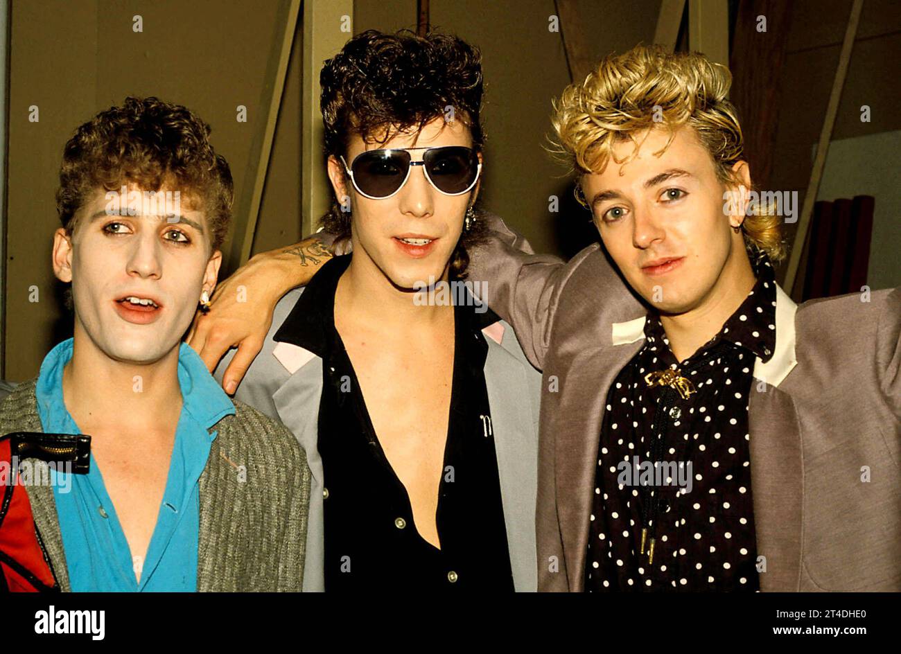Stray cats 1980 hi-res stock photography and images - Alamy Stray cats 1980 hi-res stock photography and images - Alamy